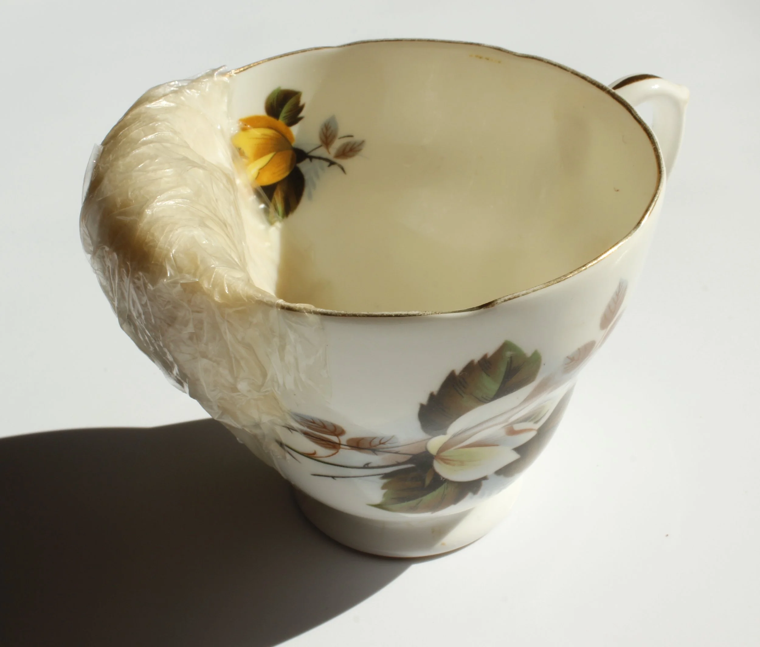 Bones — Traci Kelly