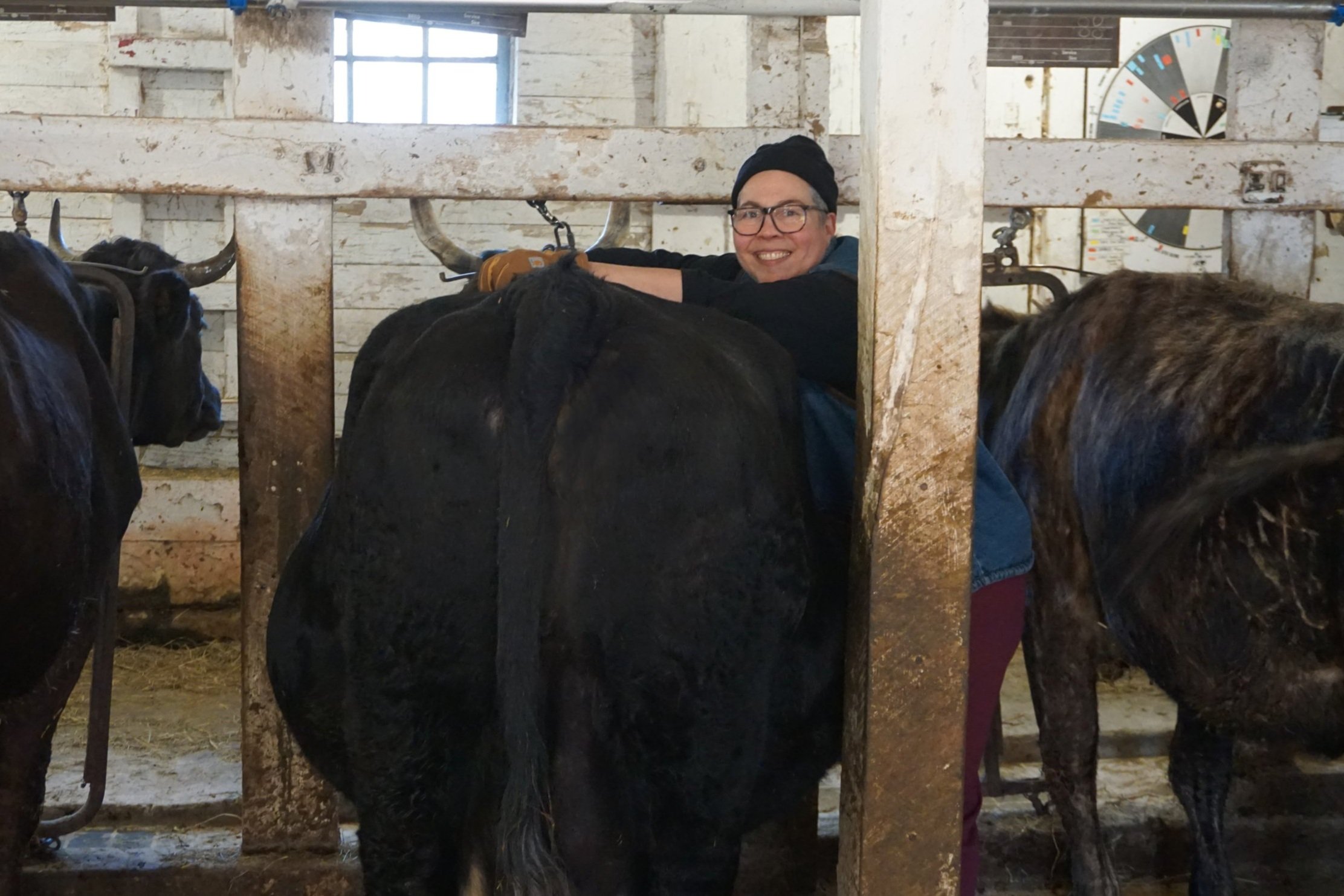 About — Stacy Szymaszek