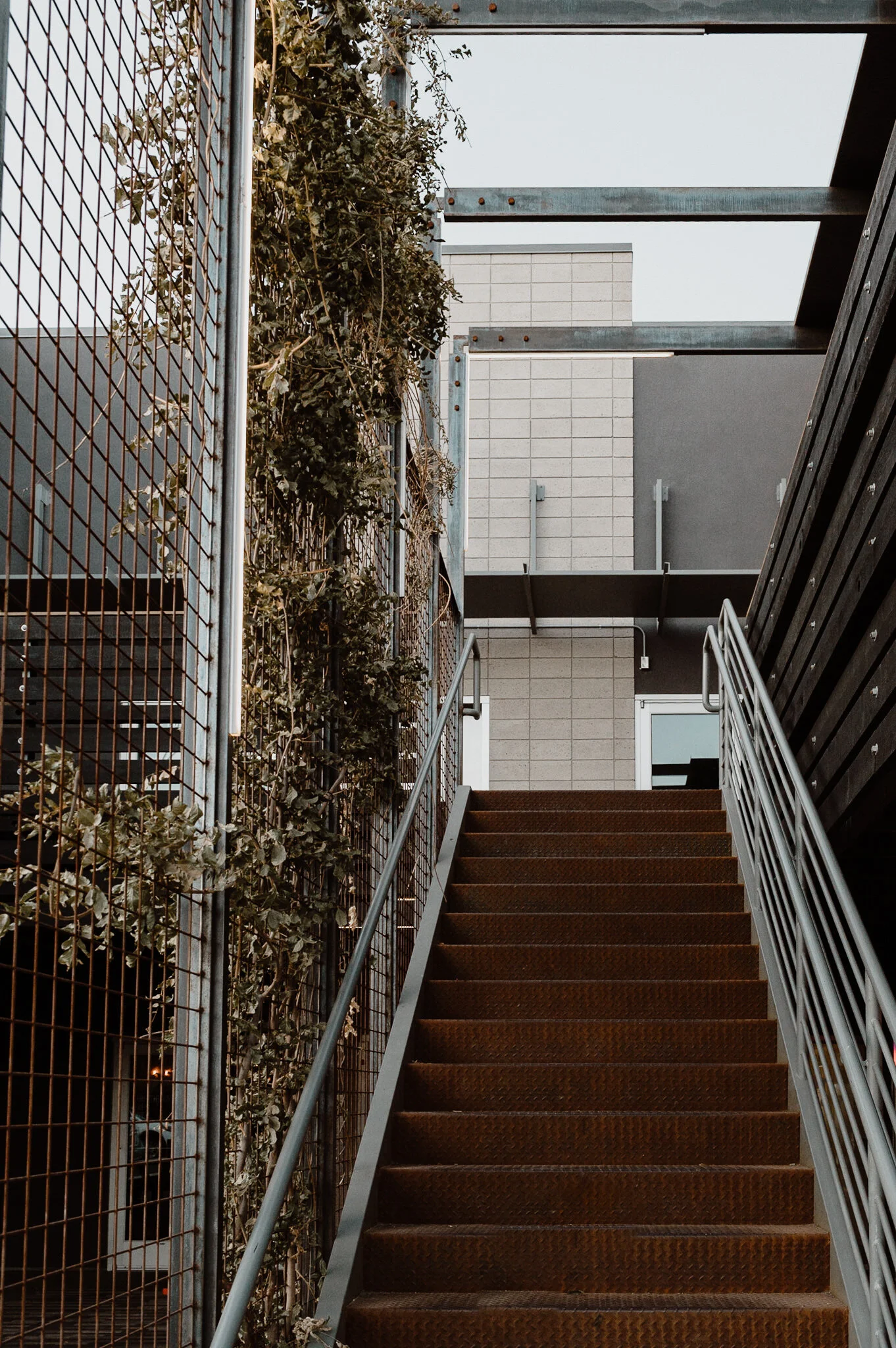 November 9th, 2019 - Moonlight Lace Launch Party — Moonlight Lace