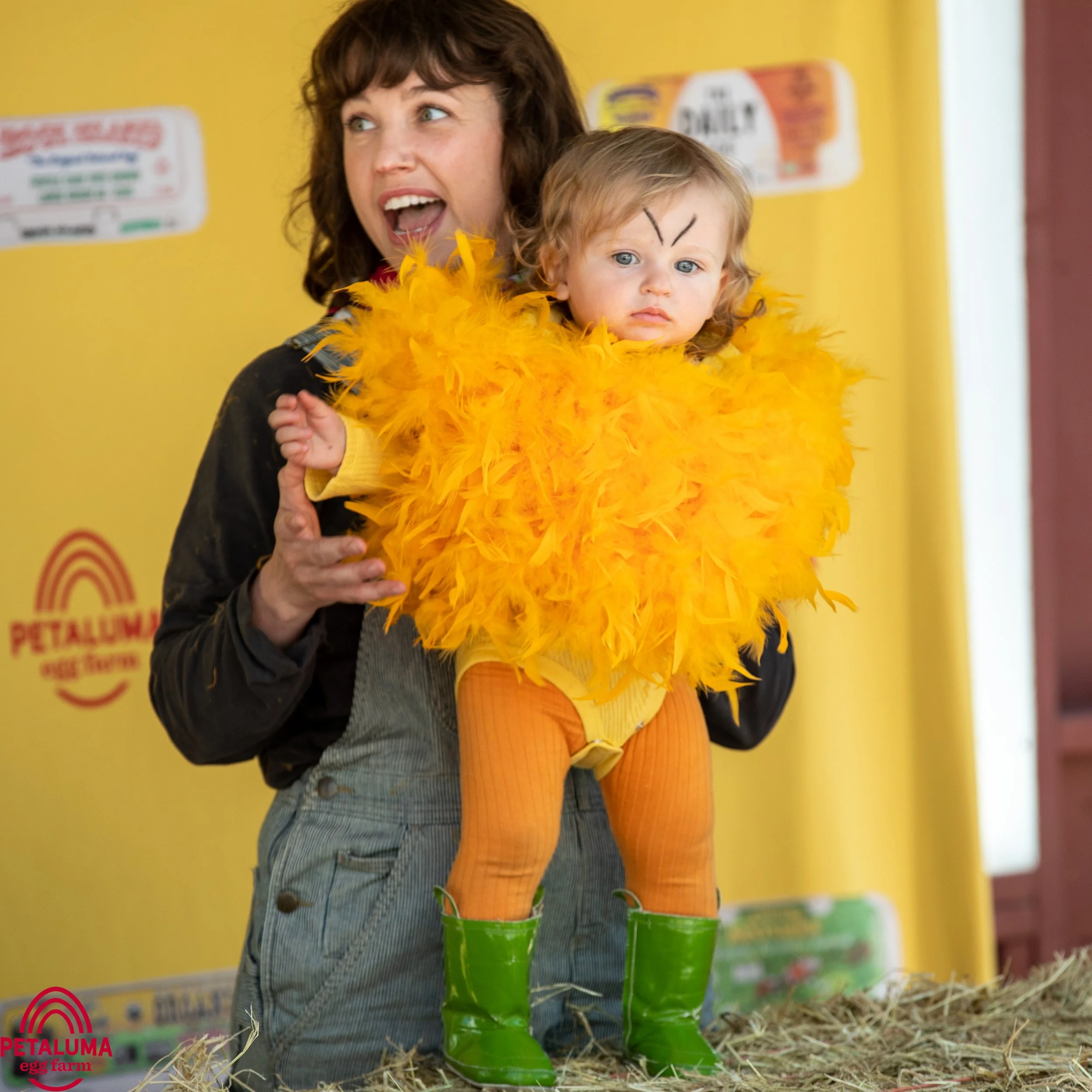 The Cutest Chick in Town Contest 2023 — Petaluma Egg Farm