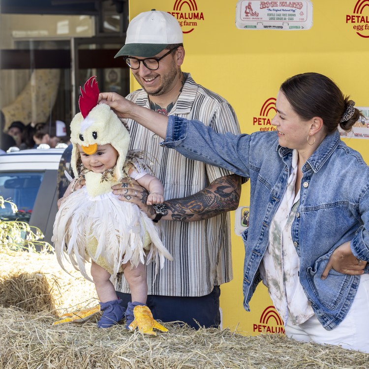 Cutest Chick Contest 2024 — Petaluma Egg Farm