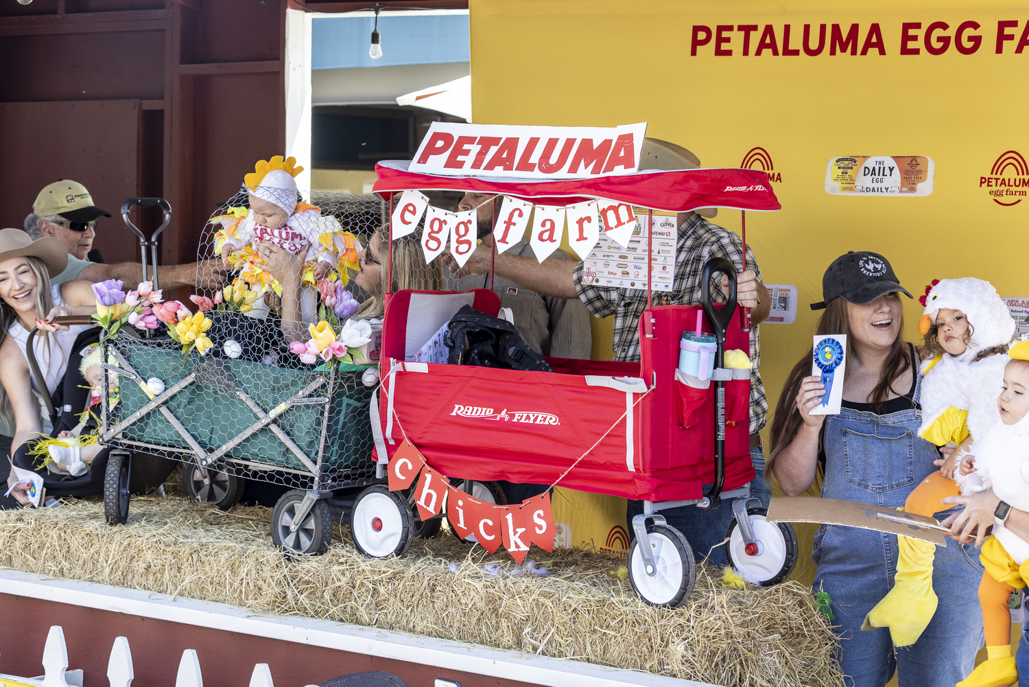 Cutest Chick Contest 2024 — Petaluma Egg Farm