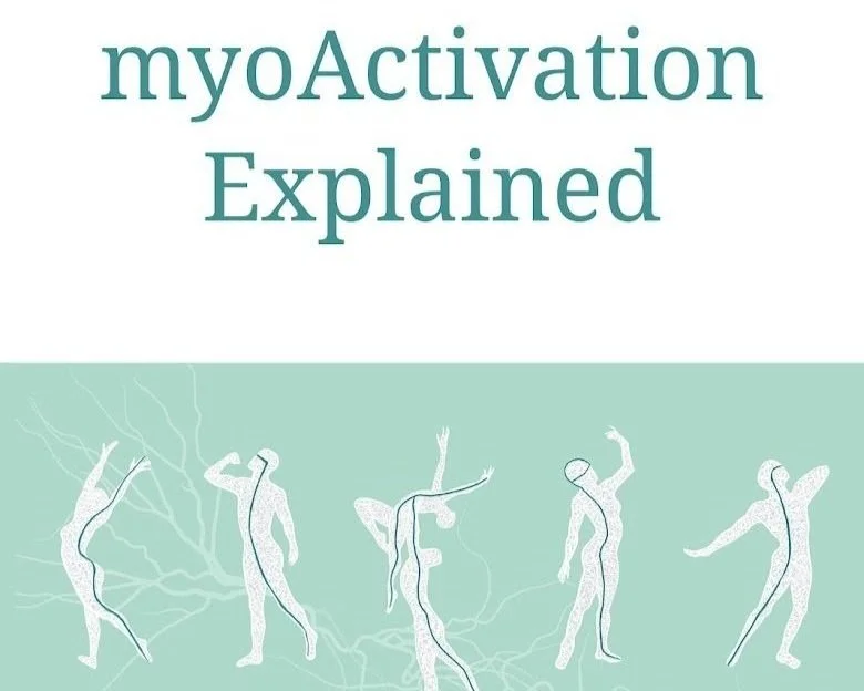 Anatomic Medicine Foundation