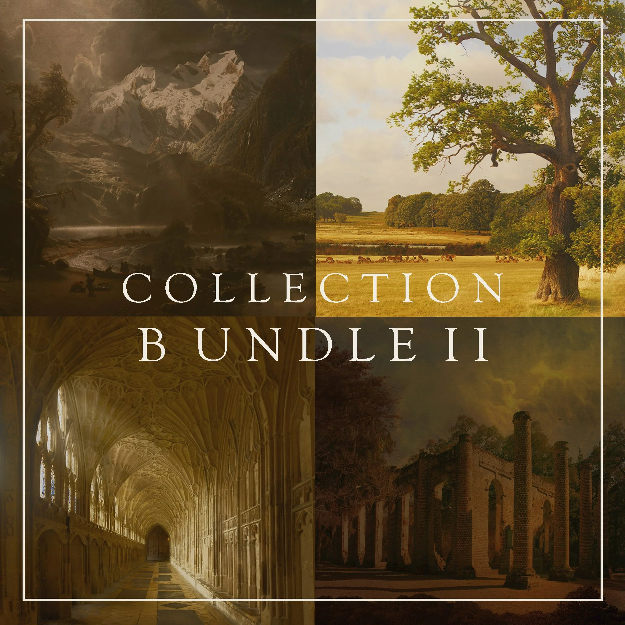 The Rococo Collection — The Backdrop Studio