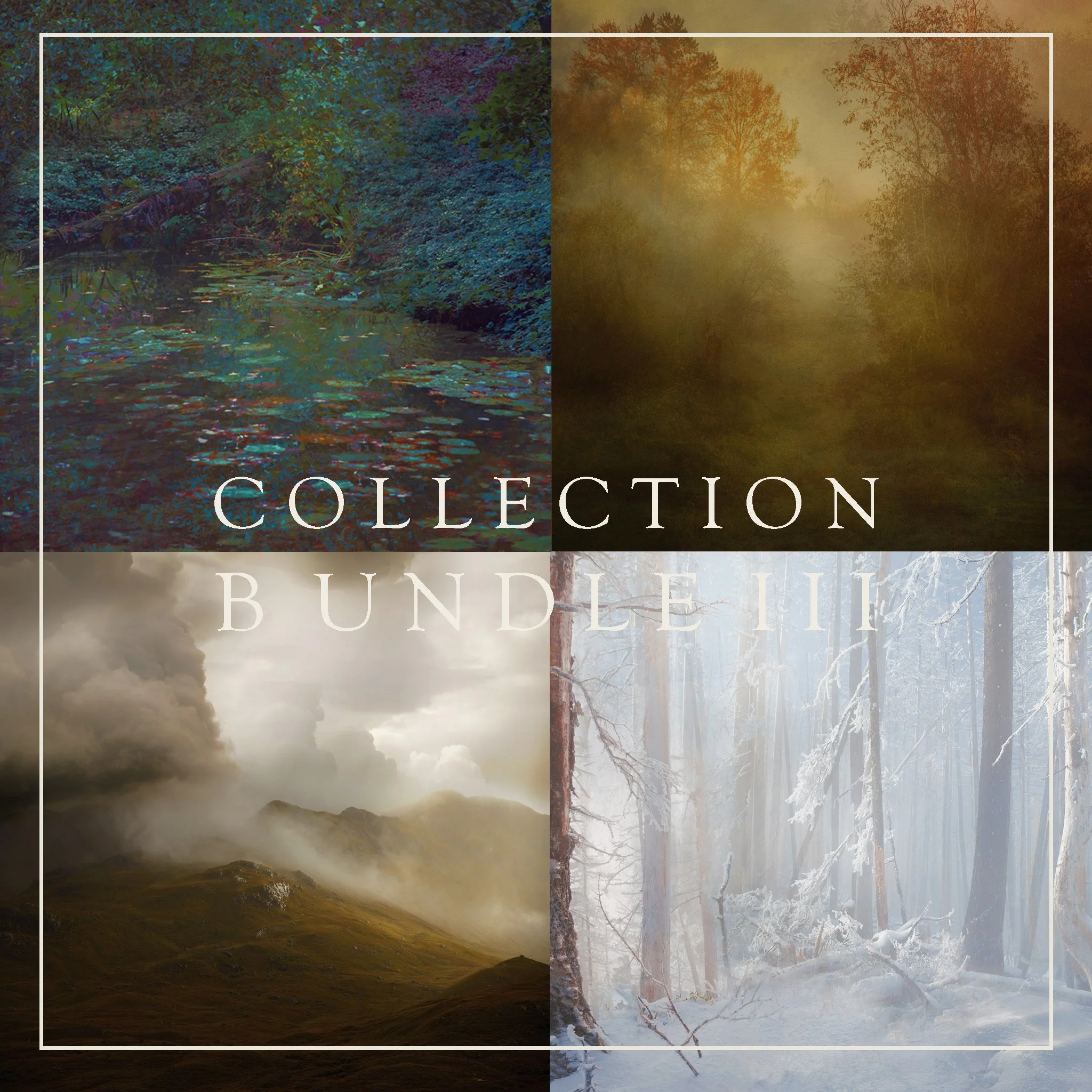 Digital Backdrop Collection Bundle I — The Backdrop Studio