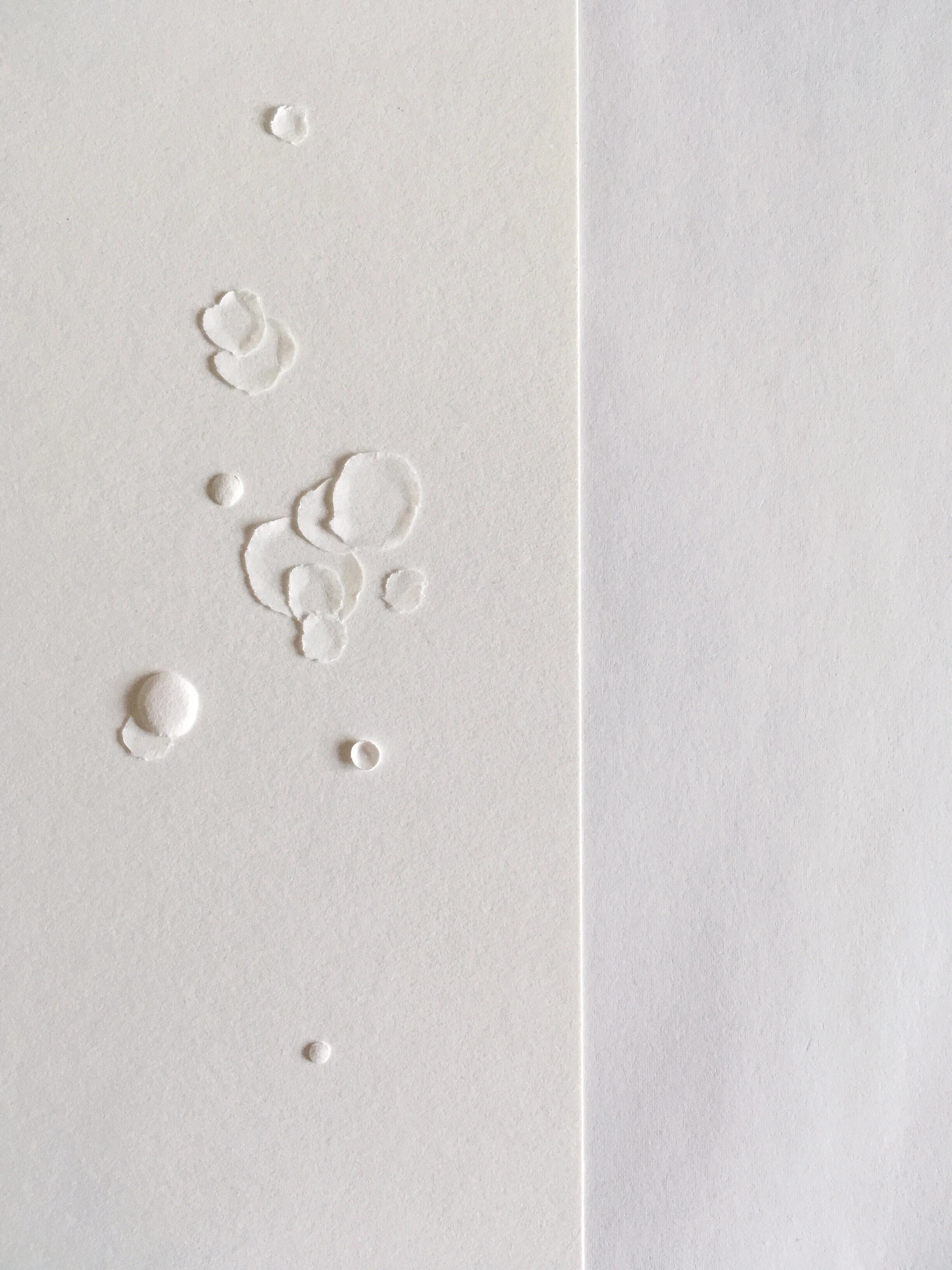 Nature's Poetry — Ceres Lau