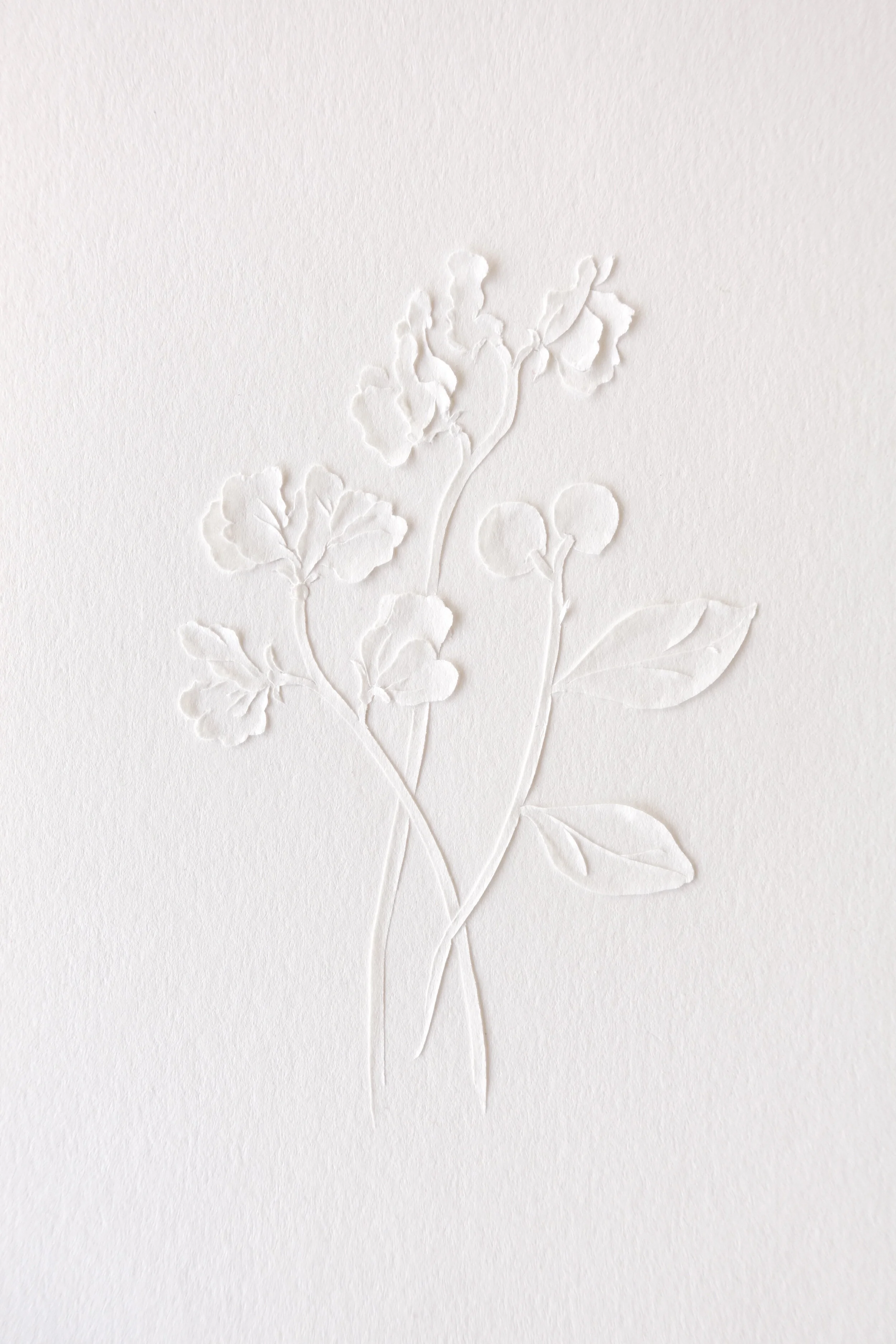 Botanical Series — Ceres Lau