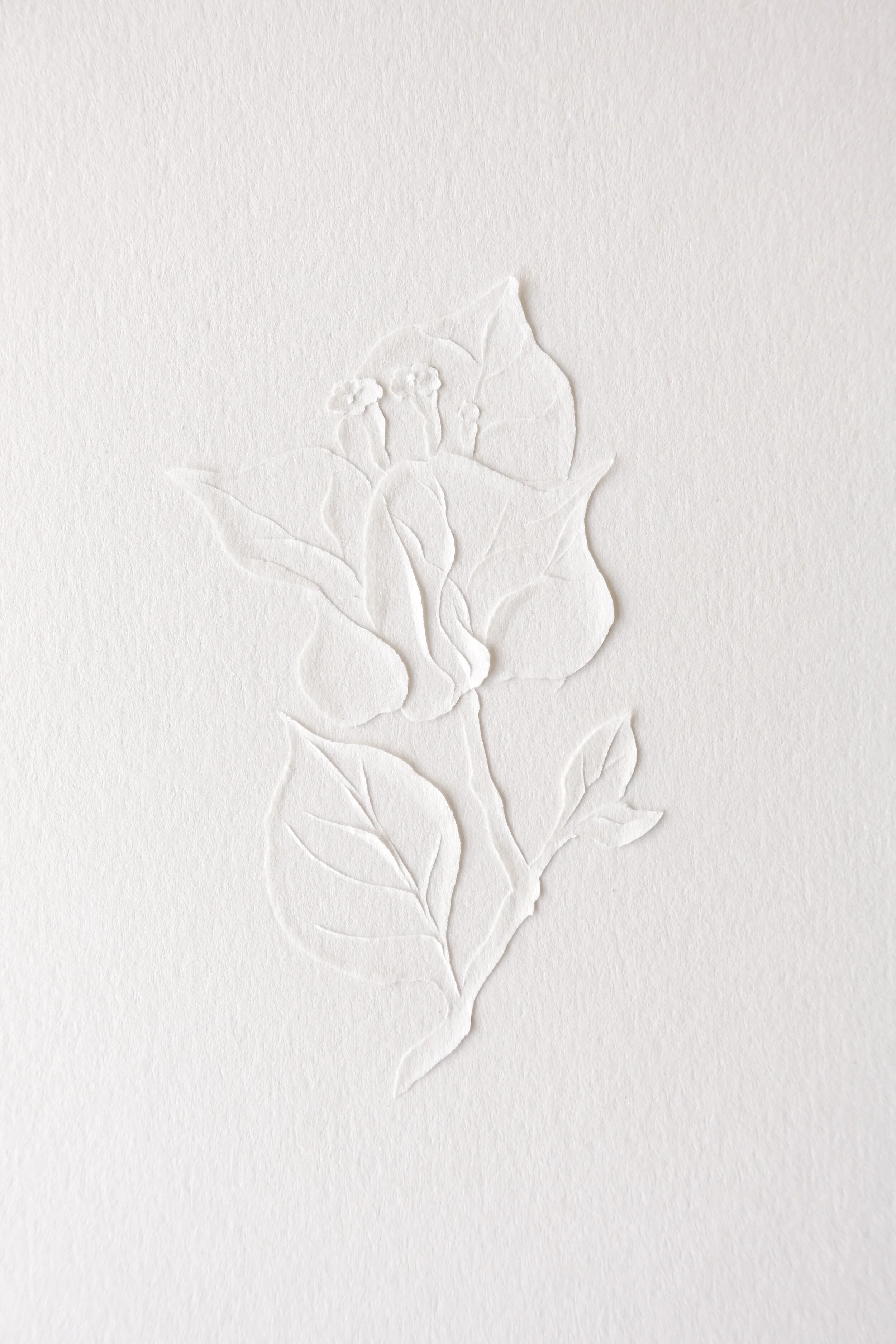 Botanical Series — Ceres Lau