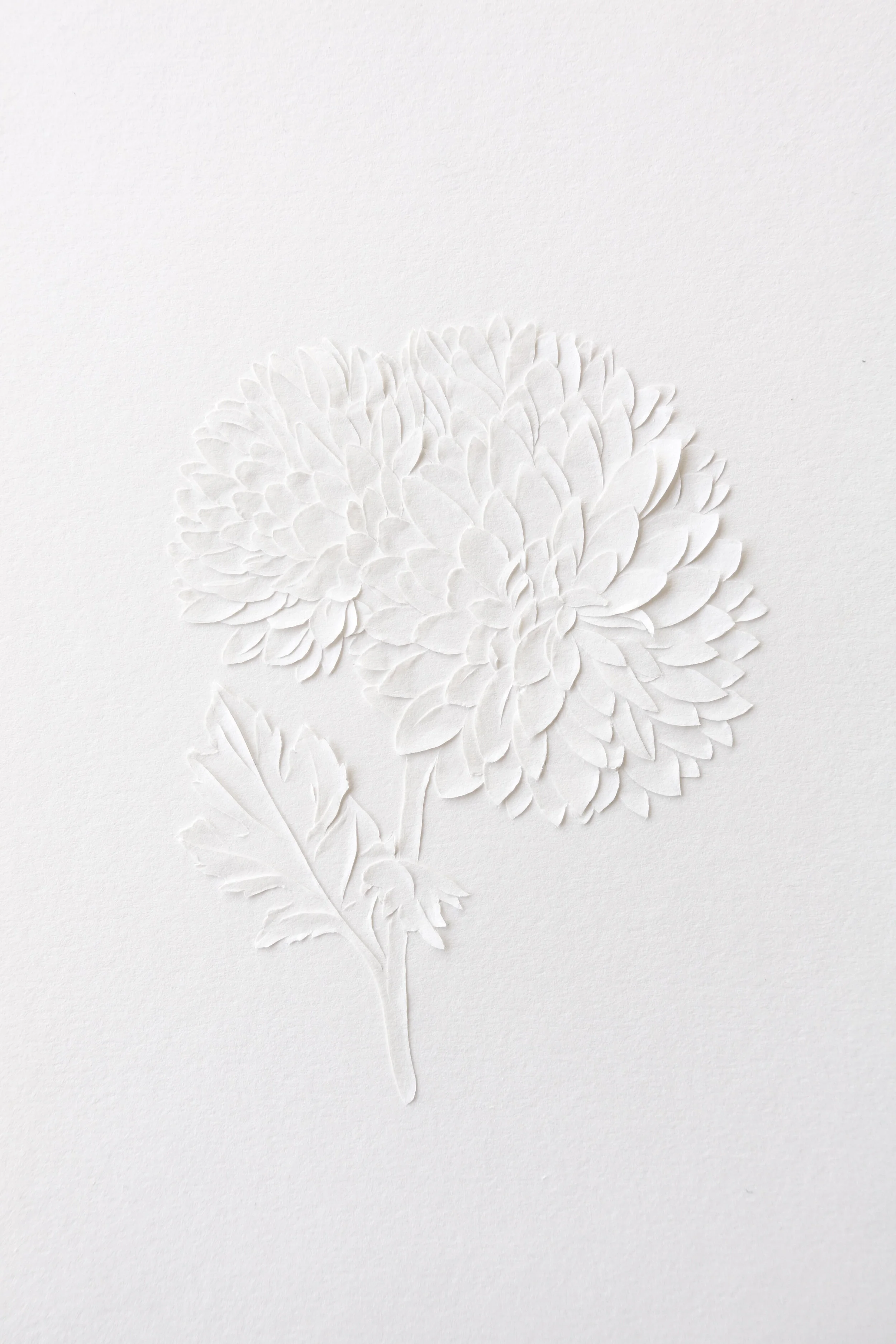 Botanical Series — Ceres Lau