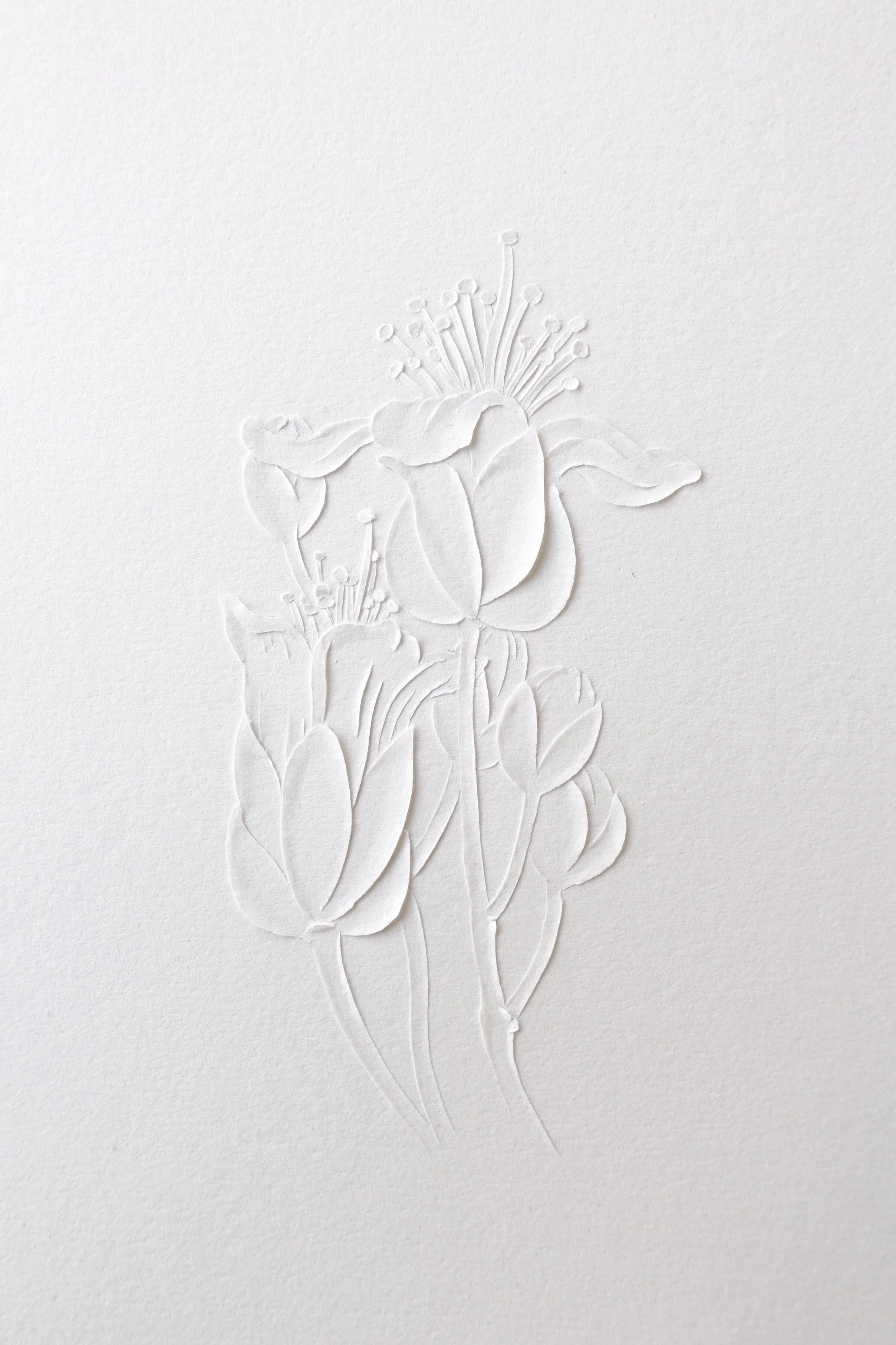 Botanical Series — Ceres Lau