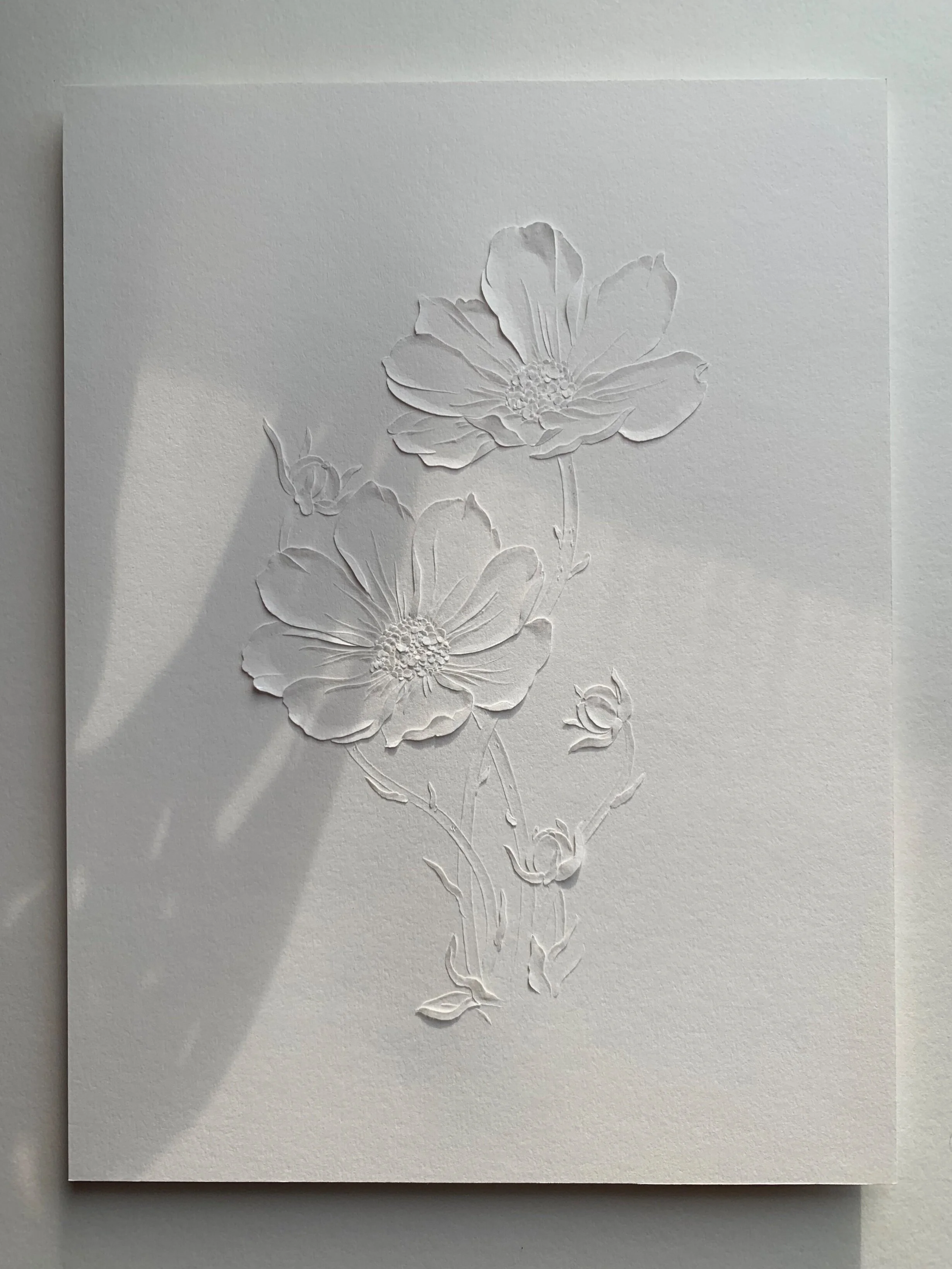 Cosmos — Ceres Lau