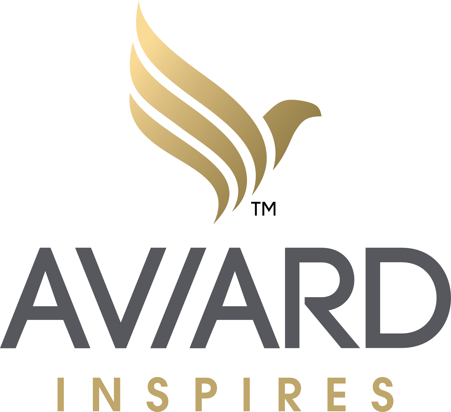 Meet Our Grantees — The Social Switch Project