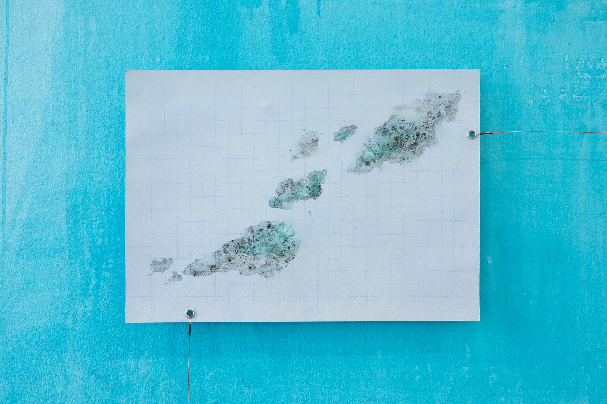 SAM'S EDEN at CCA — Thomas Wells