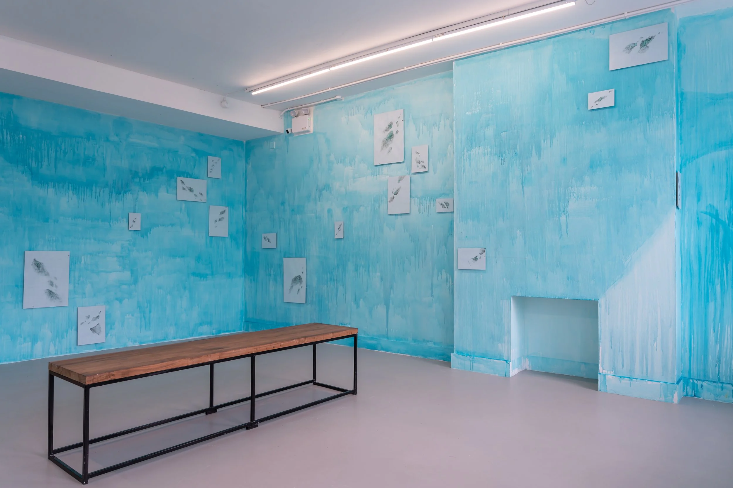 SAM'S EDEN at CCA — Thomas Wells