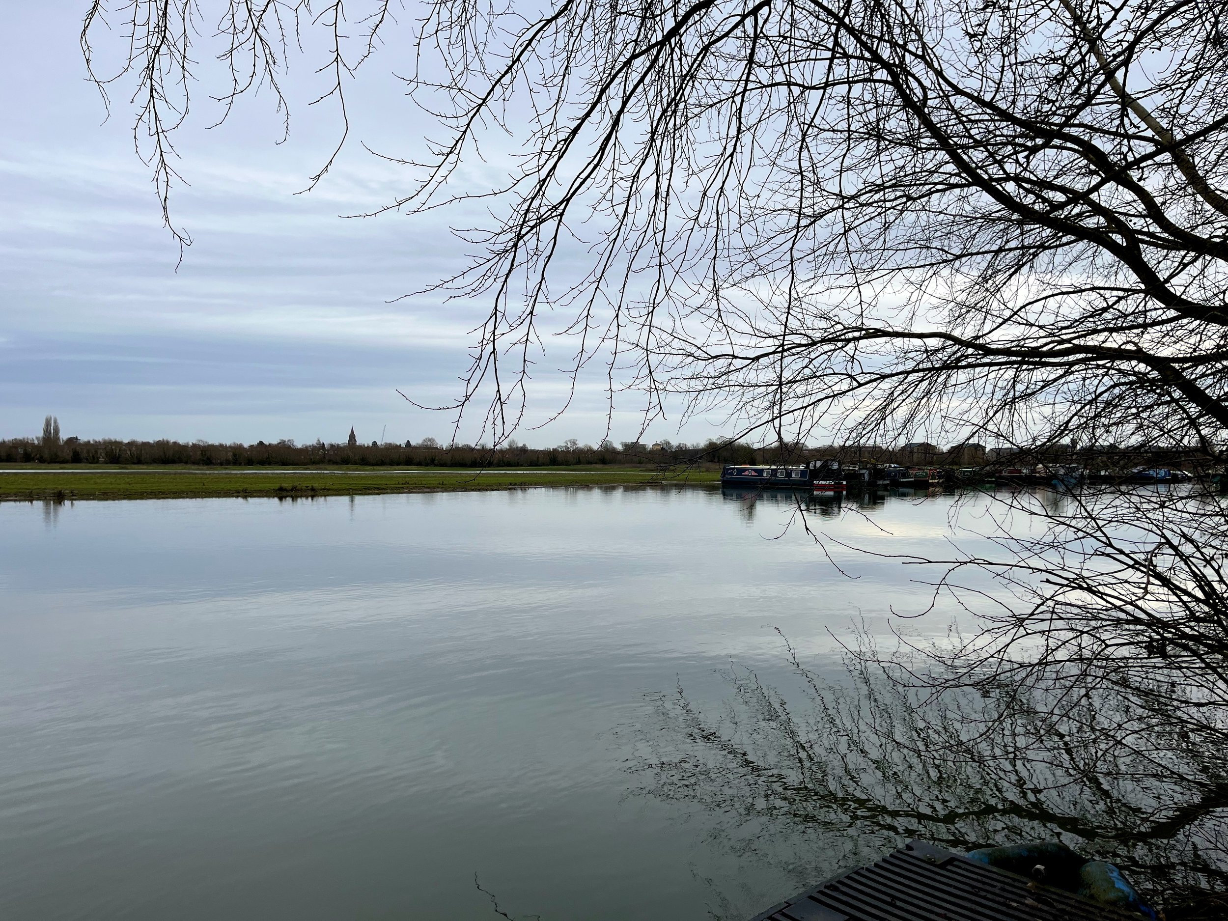 An ode to Ruskin College — Rewilding The Soul: practicing animism