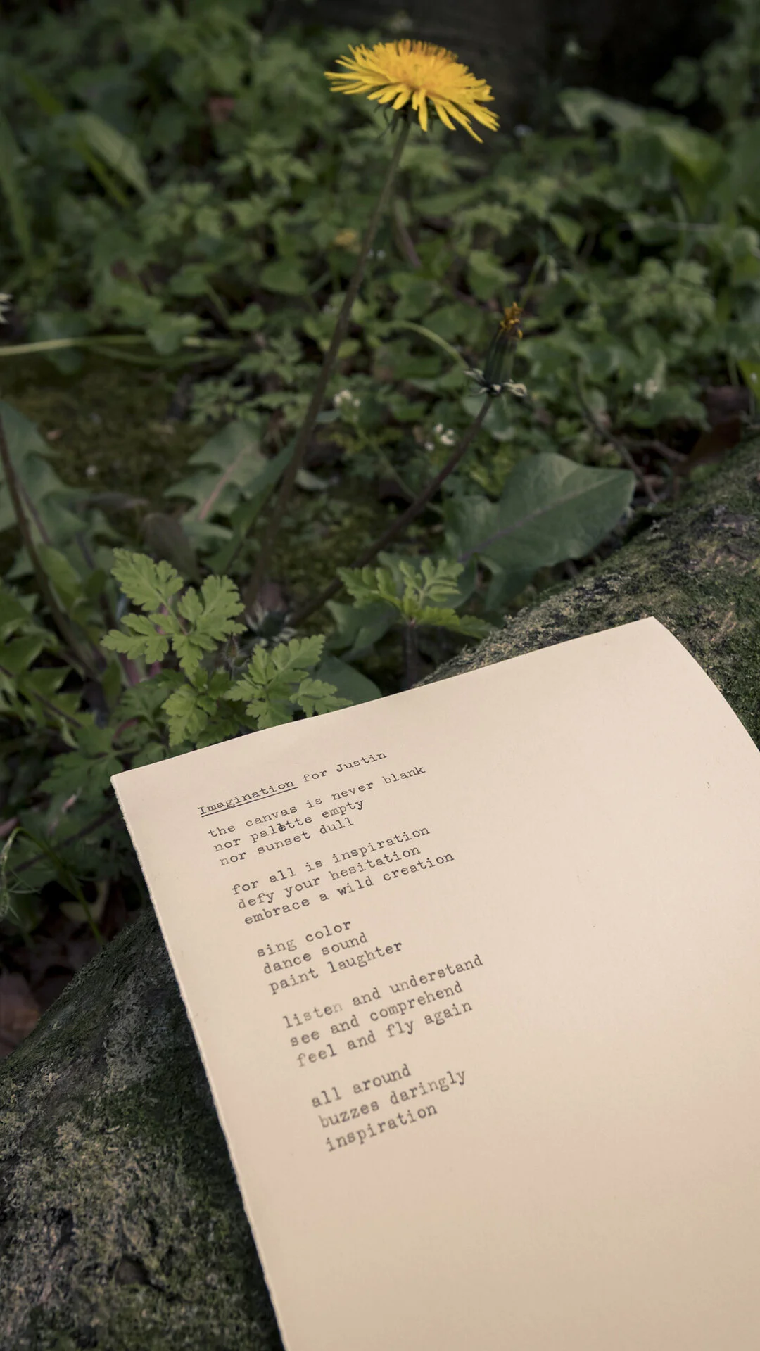 Commissioned Poems — With Ink: Typewriter Poetry