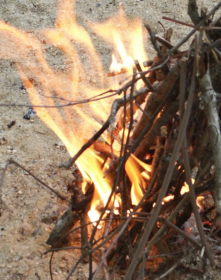 Course Details — Advanced Survival Training