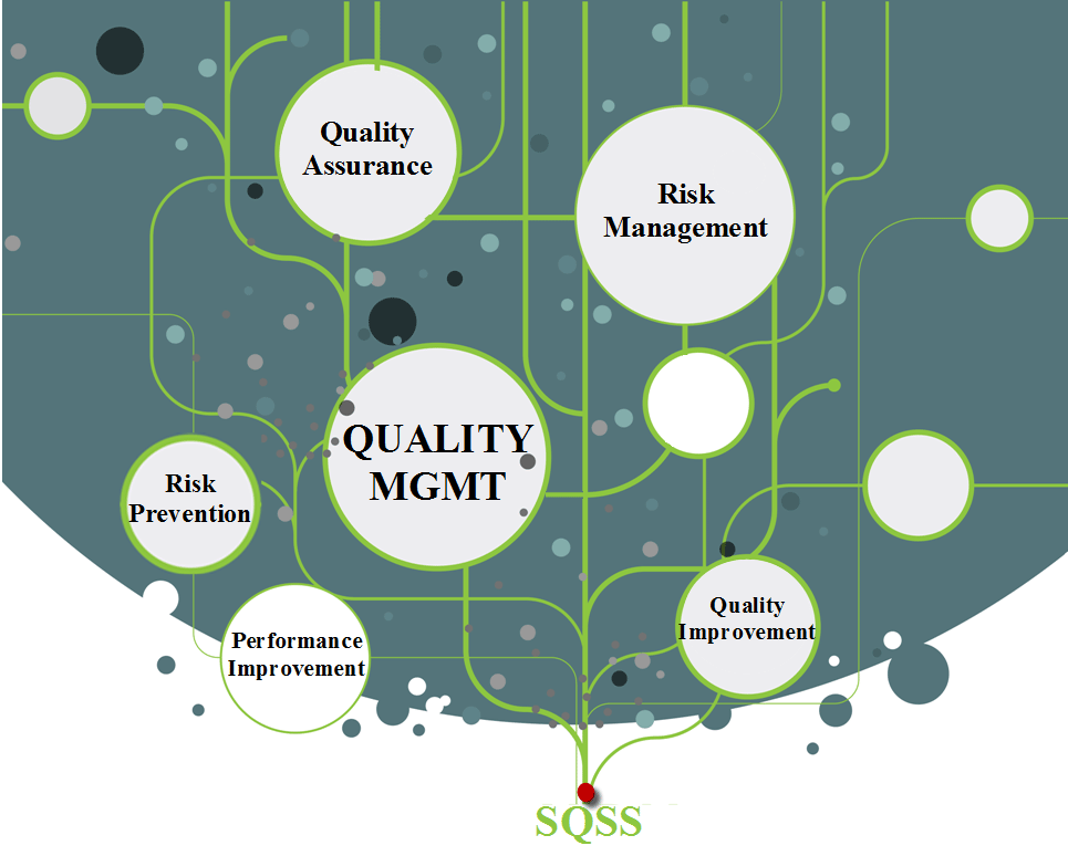 Strategic Quality Support System