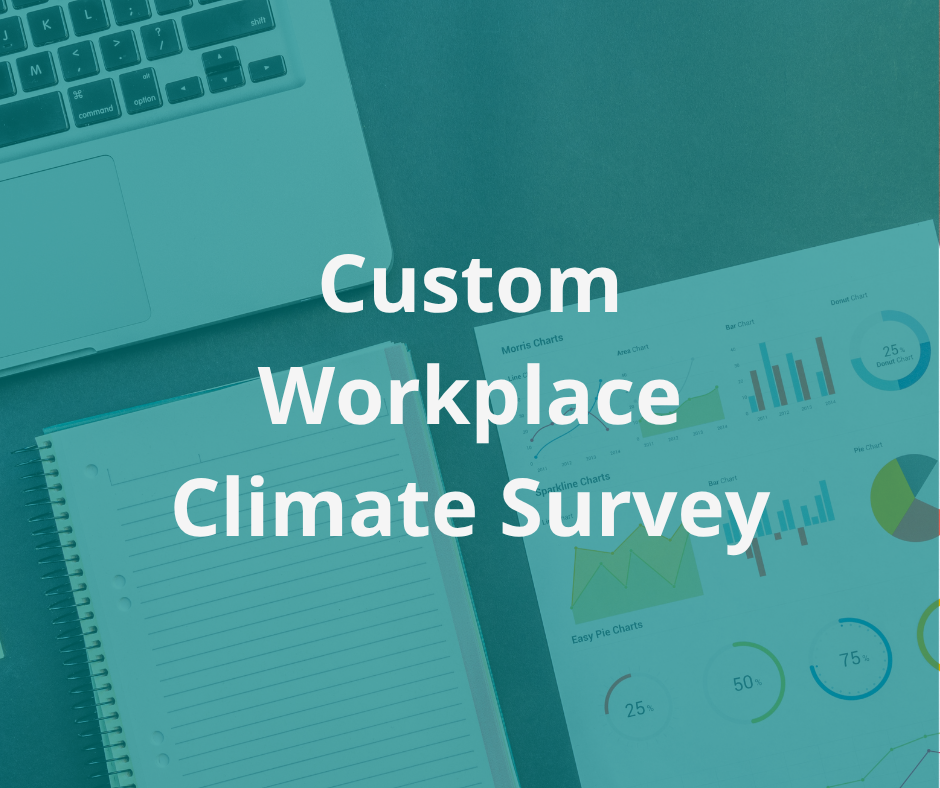 Workplace Climate Survey — Soteria Solutions