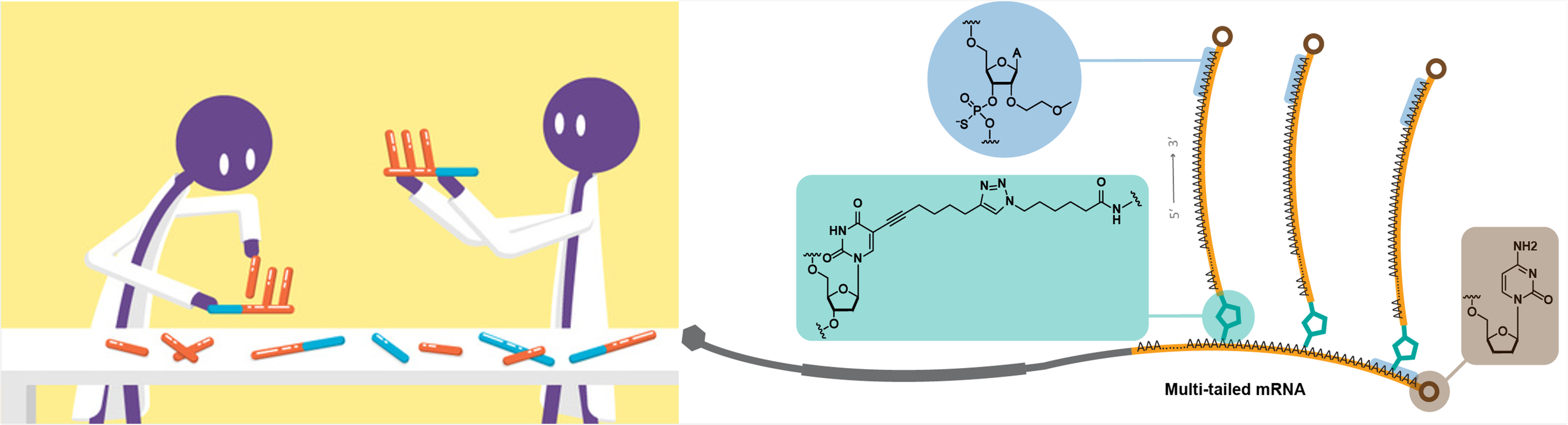 Publication — Wang Lab