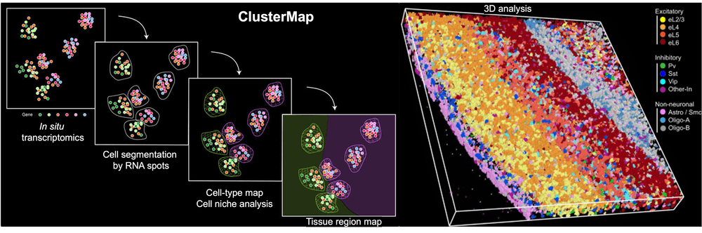 Publication — Wang Lab