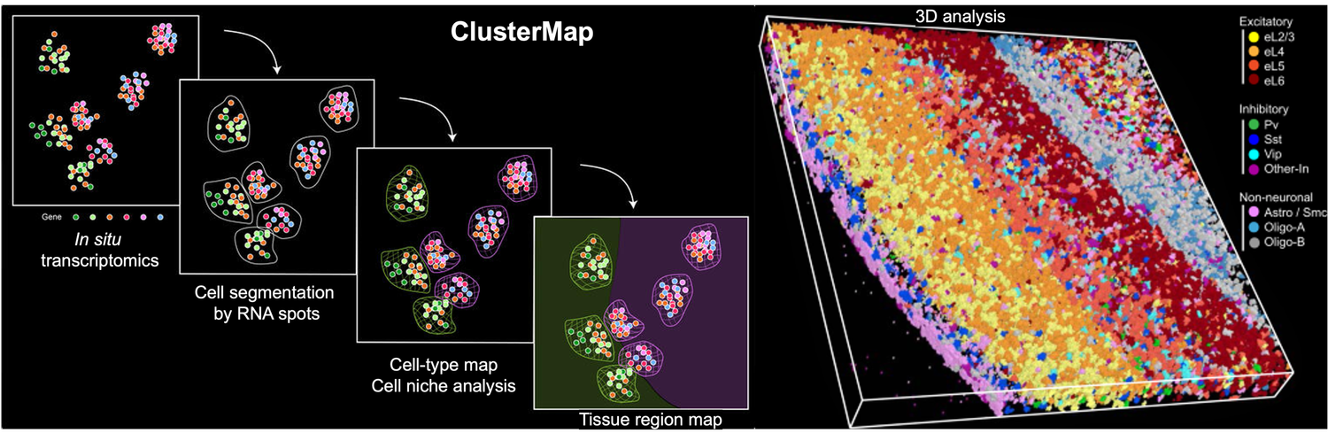 Publication — Wang Lab