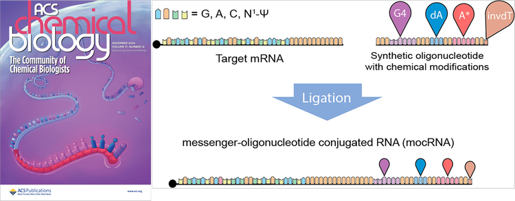 Publication — Wang Lab
