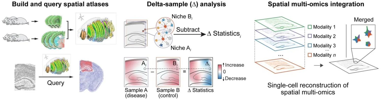 Publication — Wang Lab
