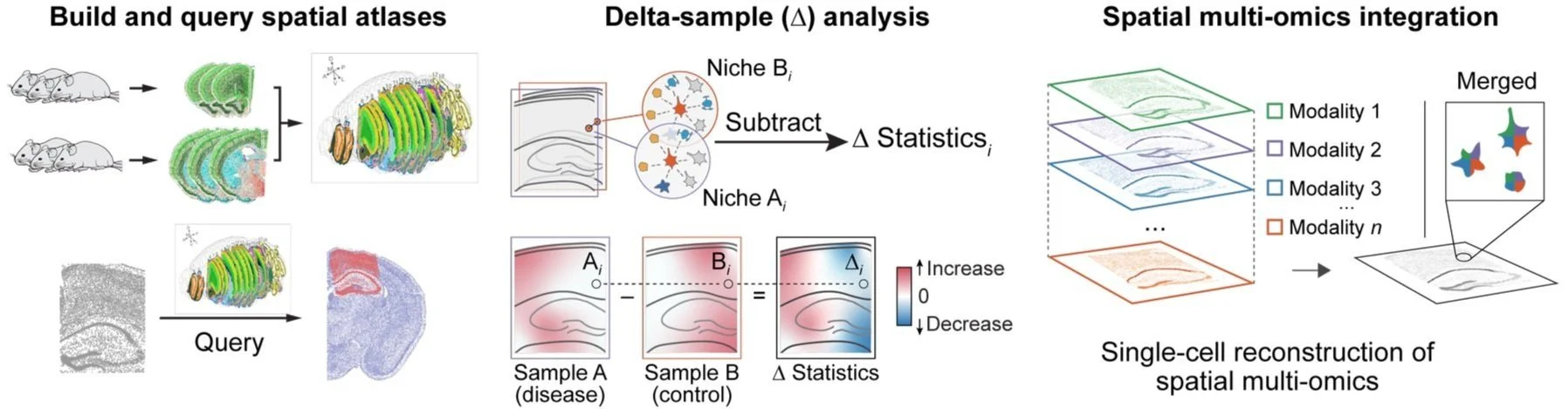 Publication — Wang Lab