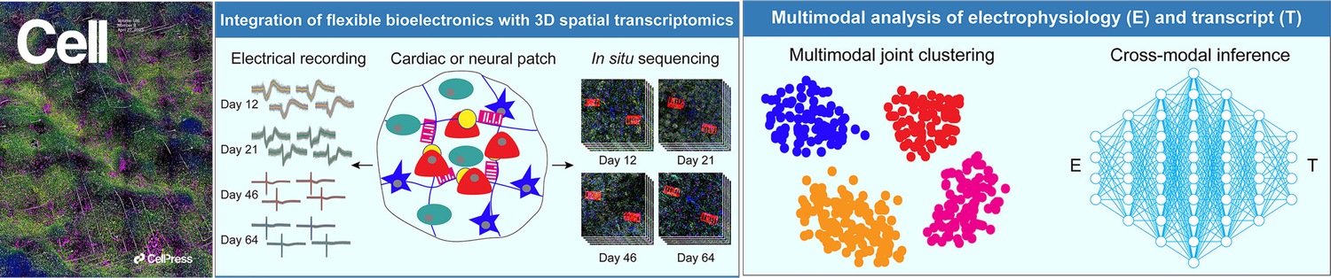 Publication — Wang Lab