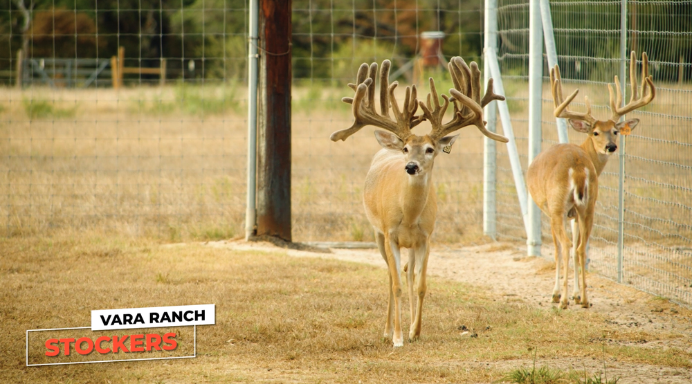 Featured Deer Farms — Keith Warren's Deer and Wildlife Stories