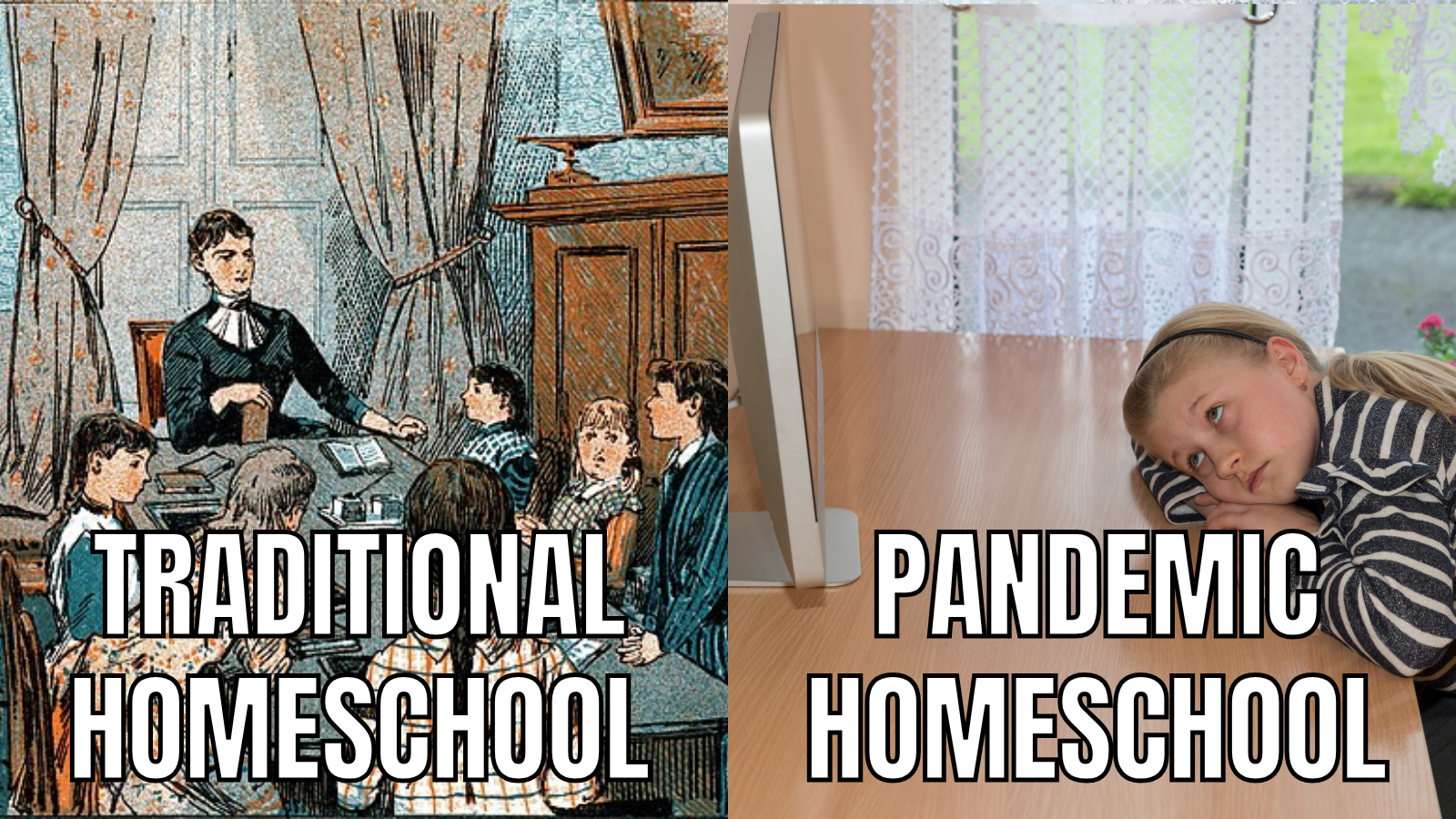 What Is Homeschooling? A Complete Guide to Styles, Benefits & Trends ...