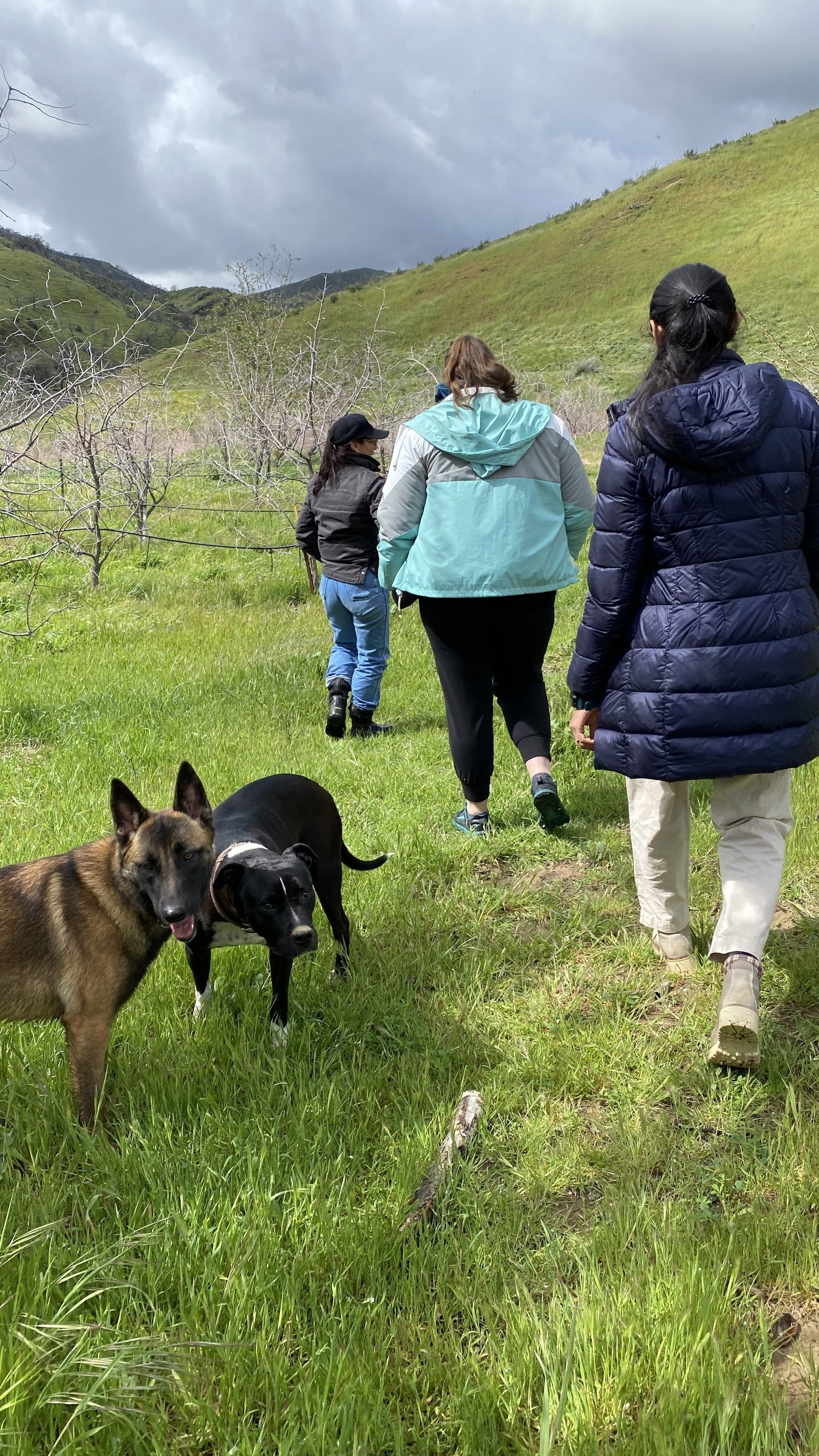 Project Blue Sky — Climate Designers