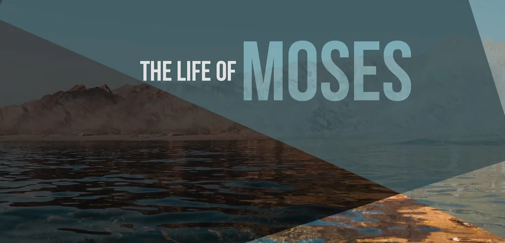 Bible Studies — Suncoast Community Church, Largo FL