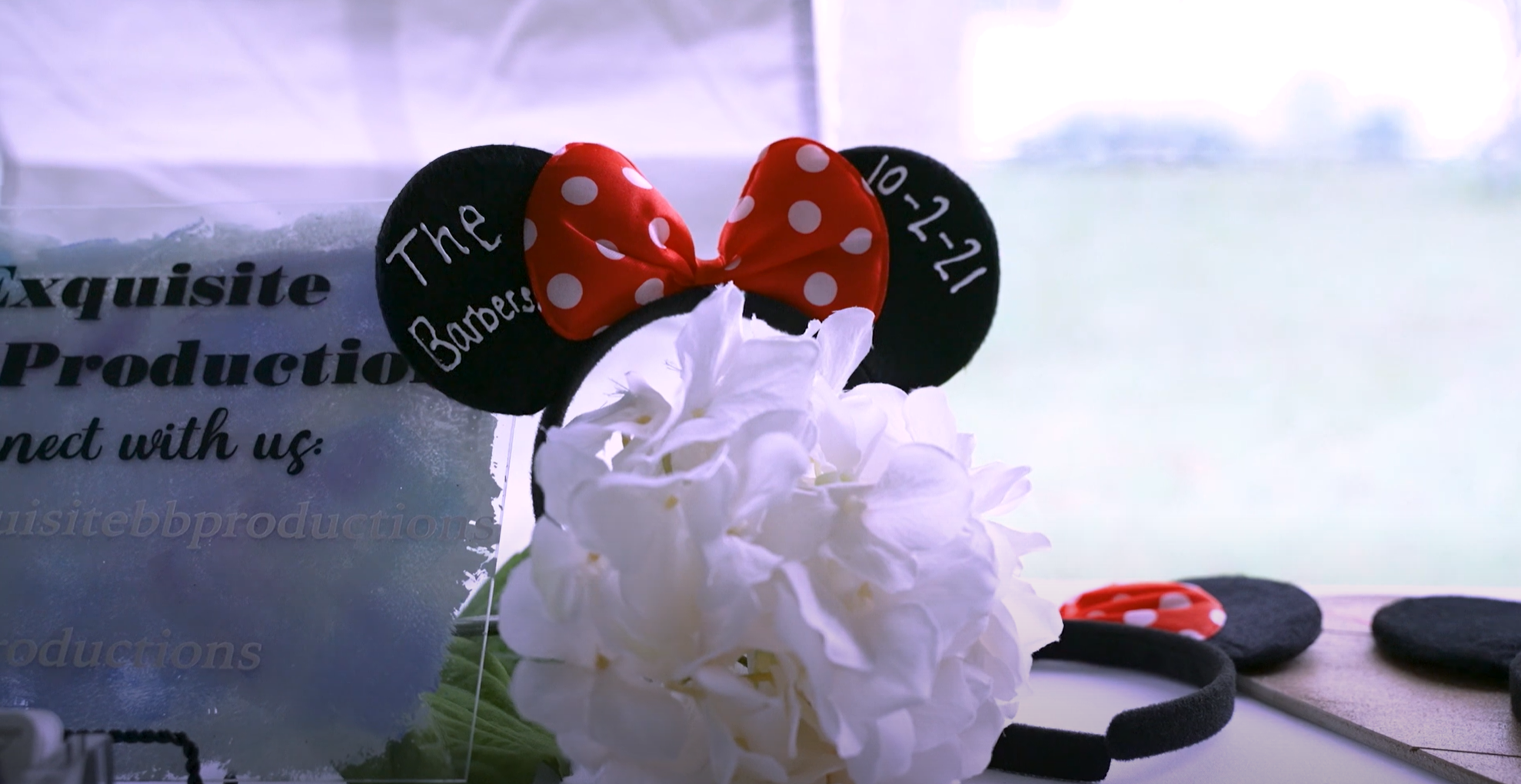 Natalie+Ian Disney Inspired Wedding in Michigan|Videography by AA ...