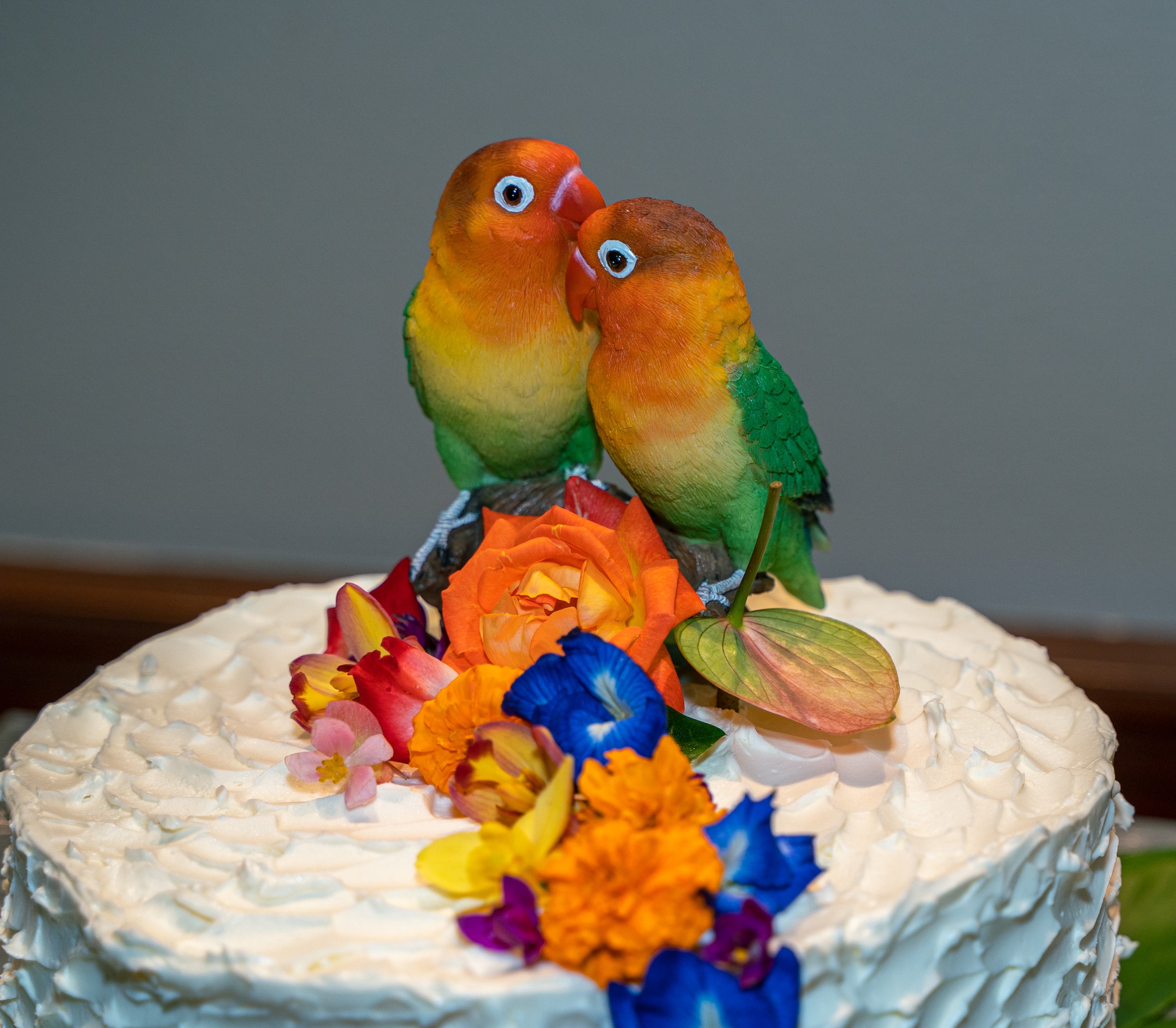 Tips for Michigan Couples on How to Incorporate Pets into Their Wedding ...