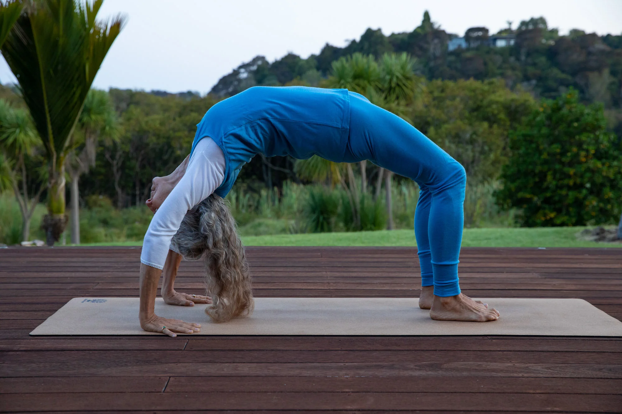 Urdhva Dhanurasana