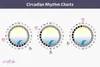 Circadian Rhythm Charts by Chronotype, Explained