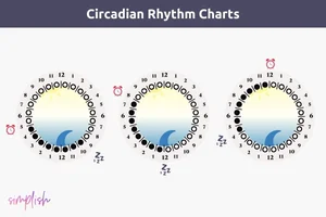 Circadian Rhythm Charts by Chronotype, Explained