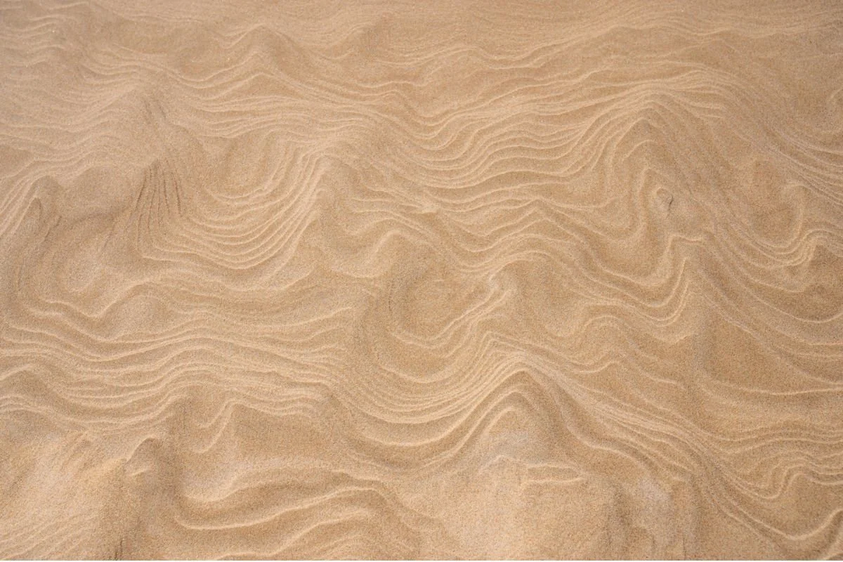 Different Types of Values (+Examples)