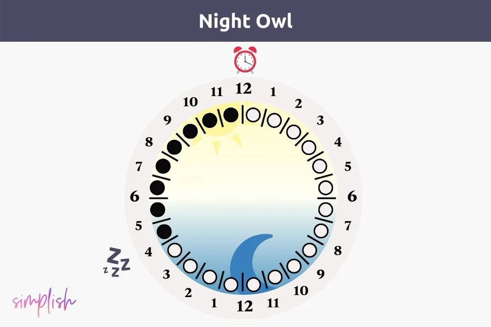 Circadian Rhythm Charts by Chronotype, Explained