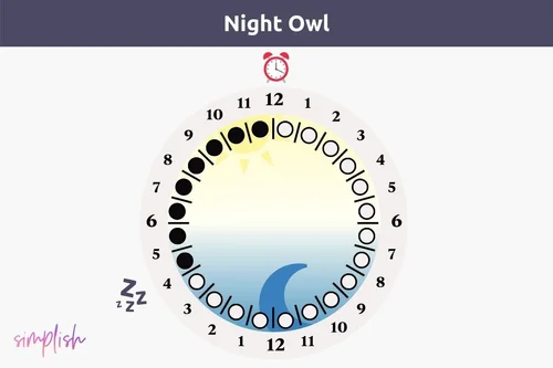 Circadian Rhythm Charts by Chronotype, Explained