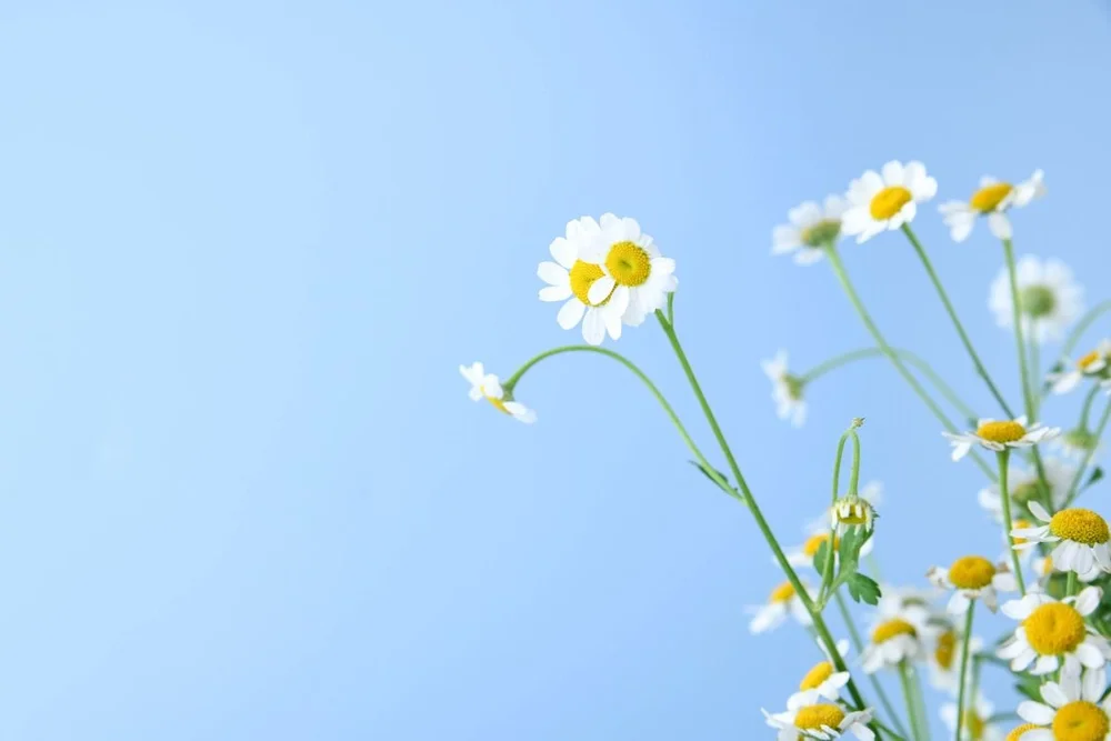 9 Essential Types of Affirmations Based on (Actual) Psychology