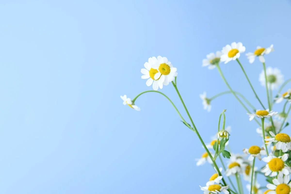 9 Essential Types of Affirmations Based on (Actual) Psychology