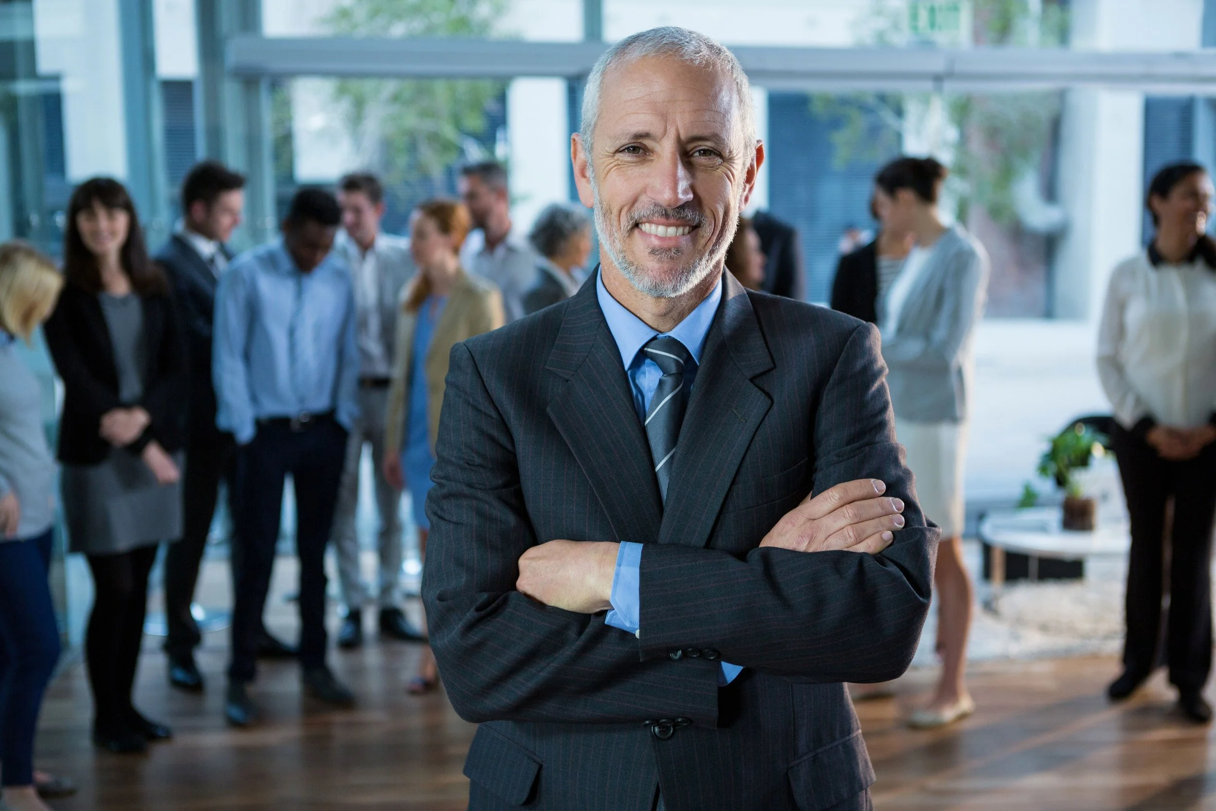 Premier English - Premium Language Solutions for Professionals