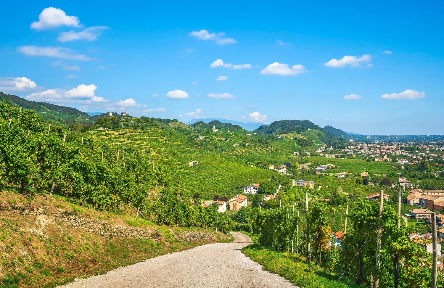 The Prosecco Road, Italy — Detour