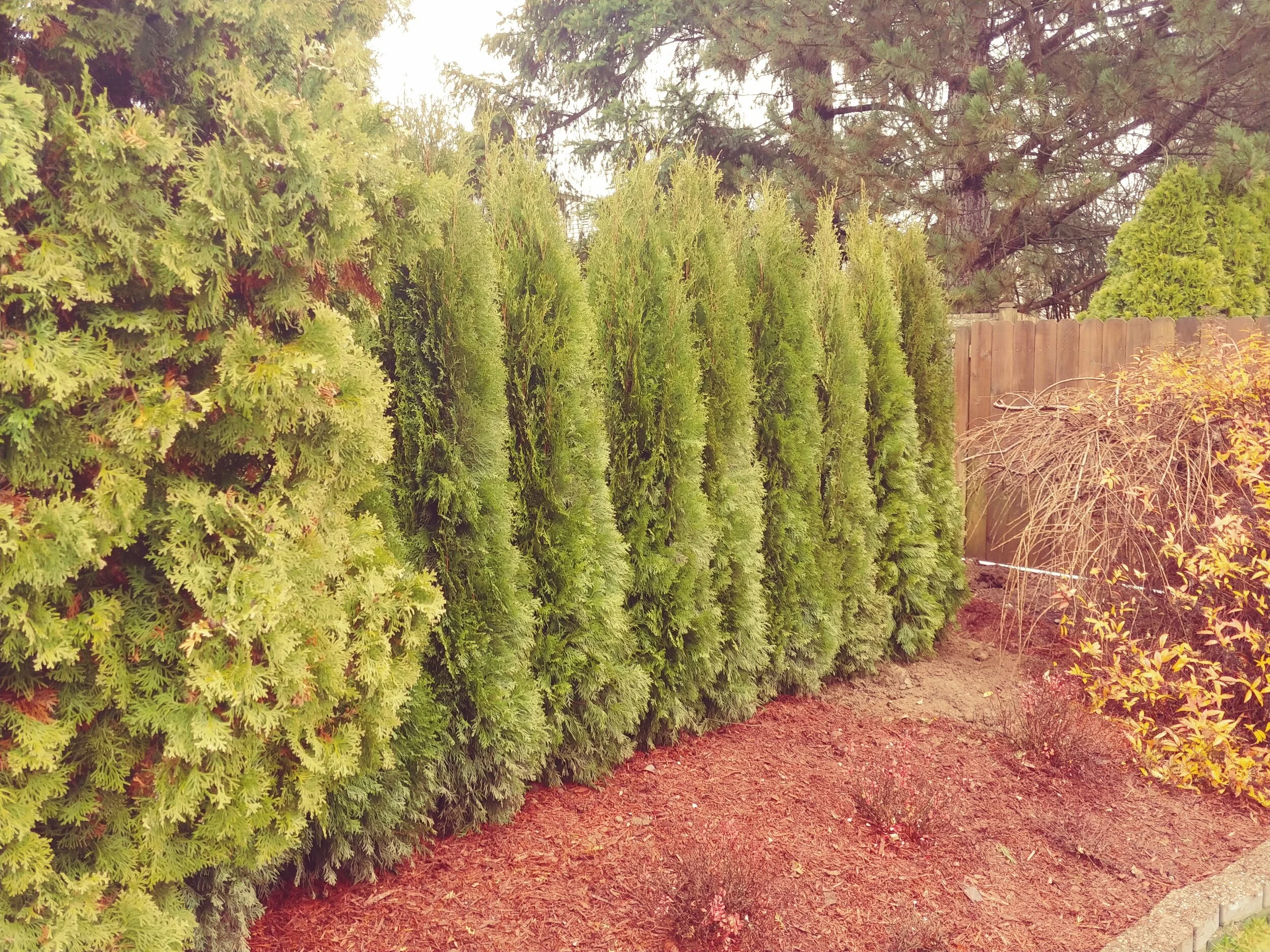 Project Gallery — Diamond Landscapes Diamond Landscapes - Let your ...