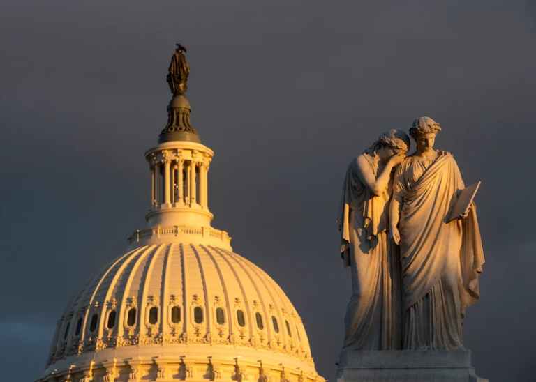 The Gun Violence Memorial Project