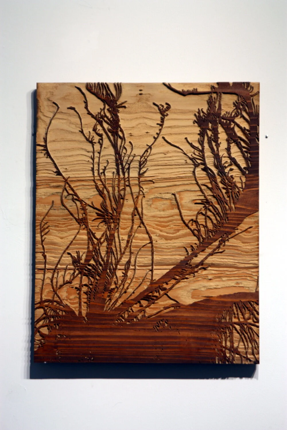 Wood Works — Jill Hotchkiss