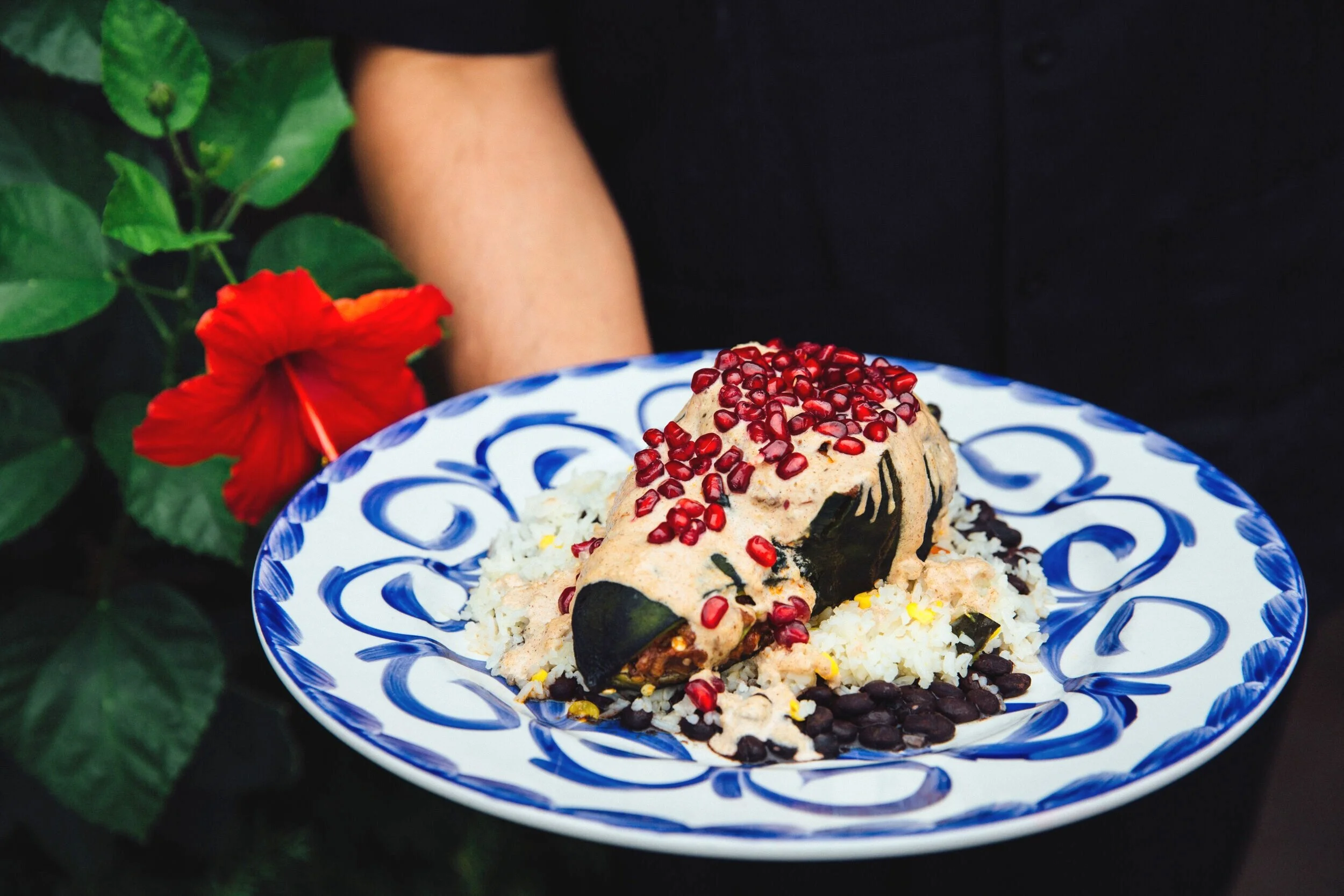 Gallery — Santa Catarina